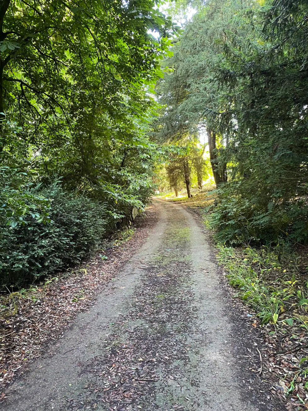 Health & Wellness | Midford Castle